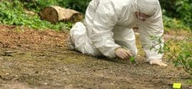 Giglio v. United States and the Admission of Evidence