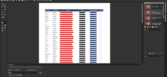 Redact and Watermark PDF Documents