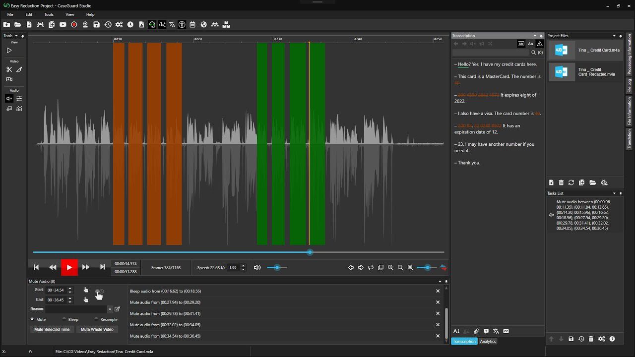 Audio Redaction Software